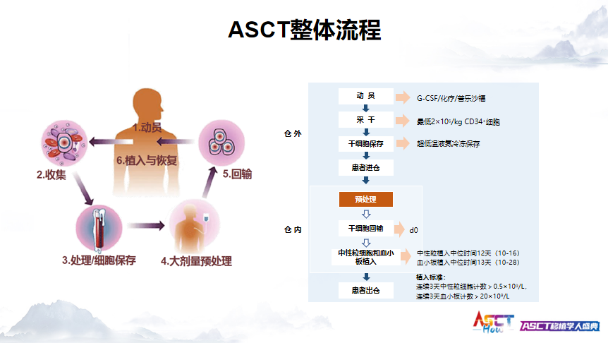 骨守初心，ASCT重构骨髓瘤患者新生机